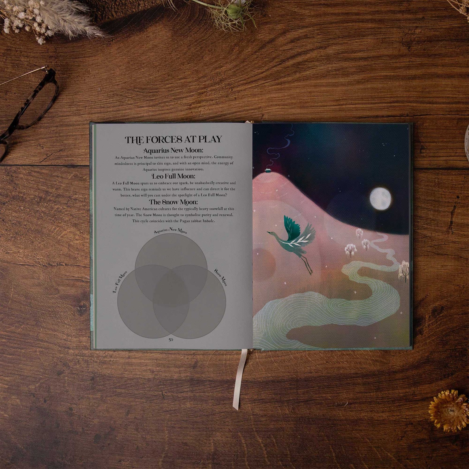 Order Your Moon Journal 2025 | Track Lunar Living With Your Moon Diary ...
