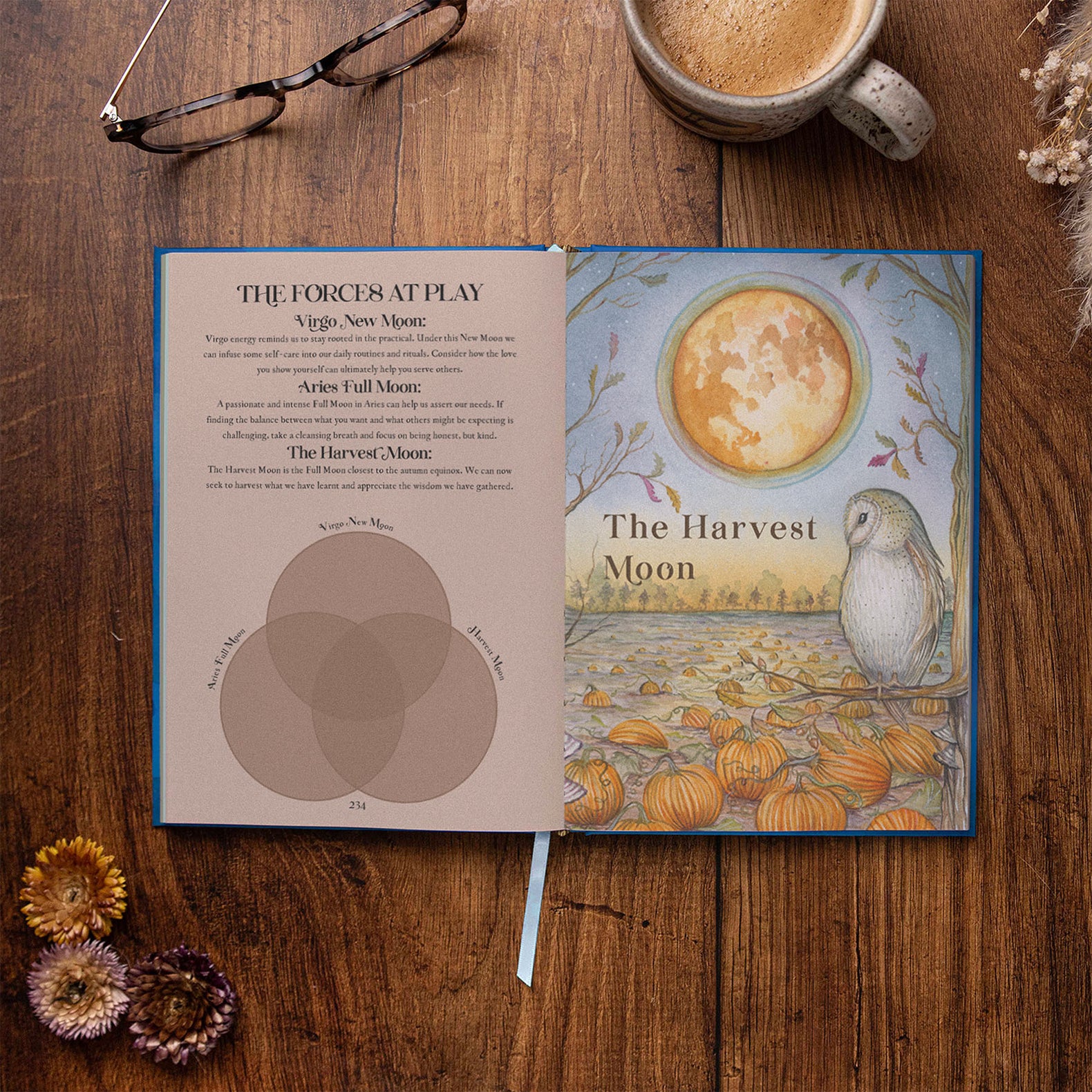 2026 | Signature Set – Moon Phase Studios
