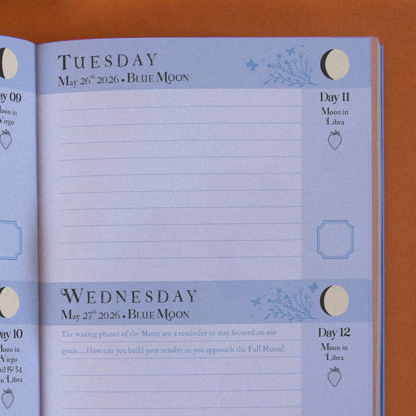 2026 | Signature Set – Moon Phase Studios